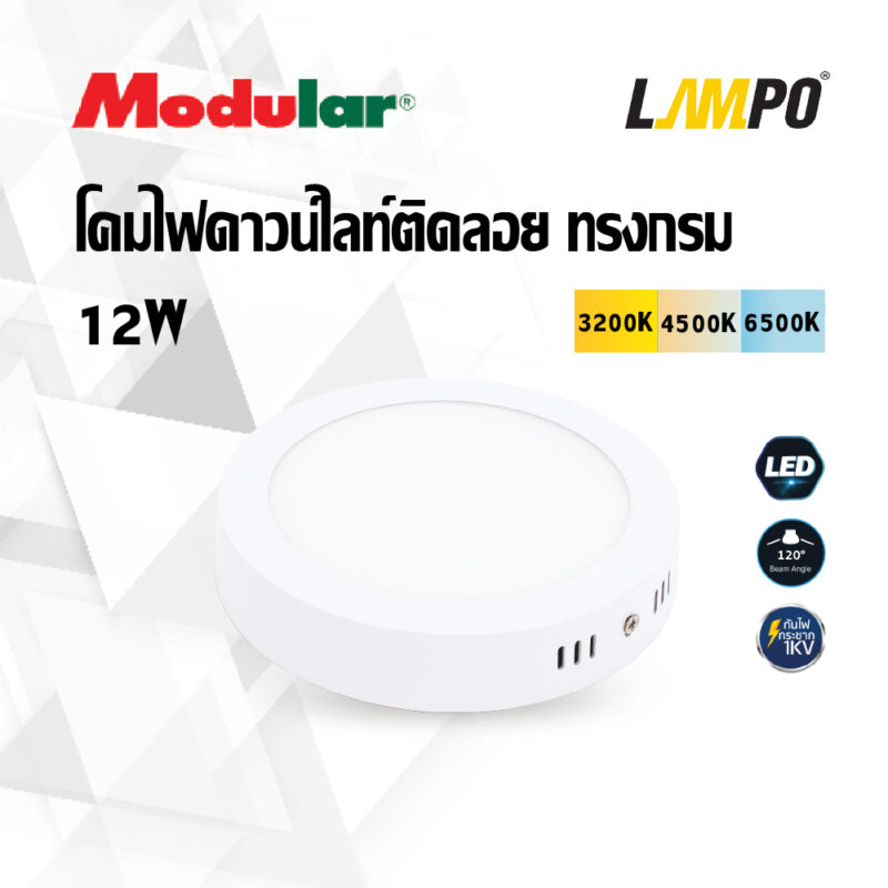 โคมไฟดาวน์ไลท์ติดลอย แบบกลม 12W modularthai.com