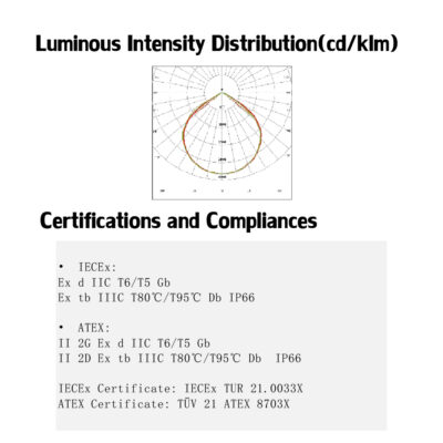 โคมกันระเบิด แอลอีดี Explosion proof LED - modularthai.com